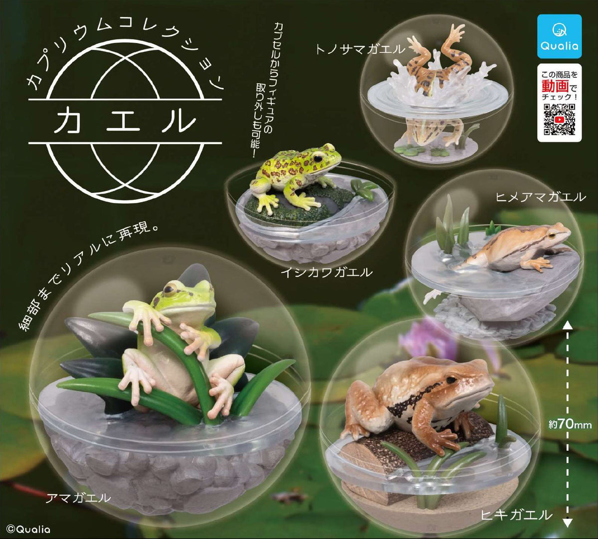 Caprium Collection Frog Gachapon | oshoppu