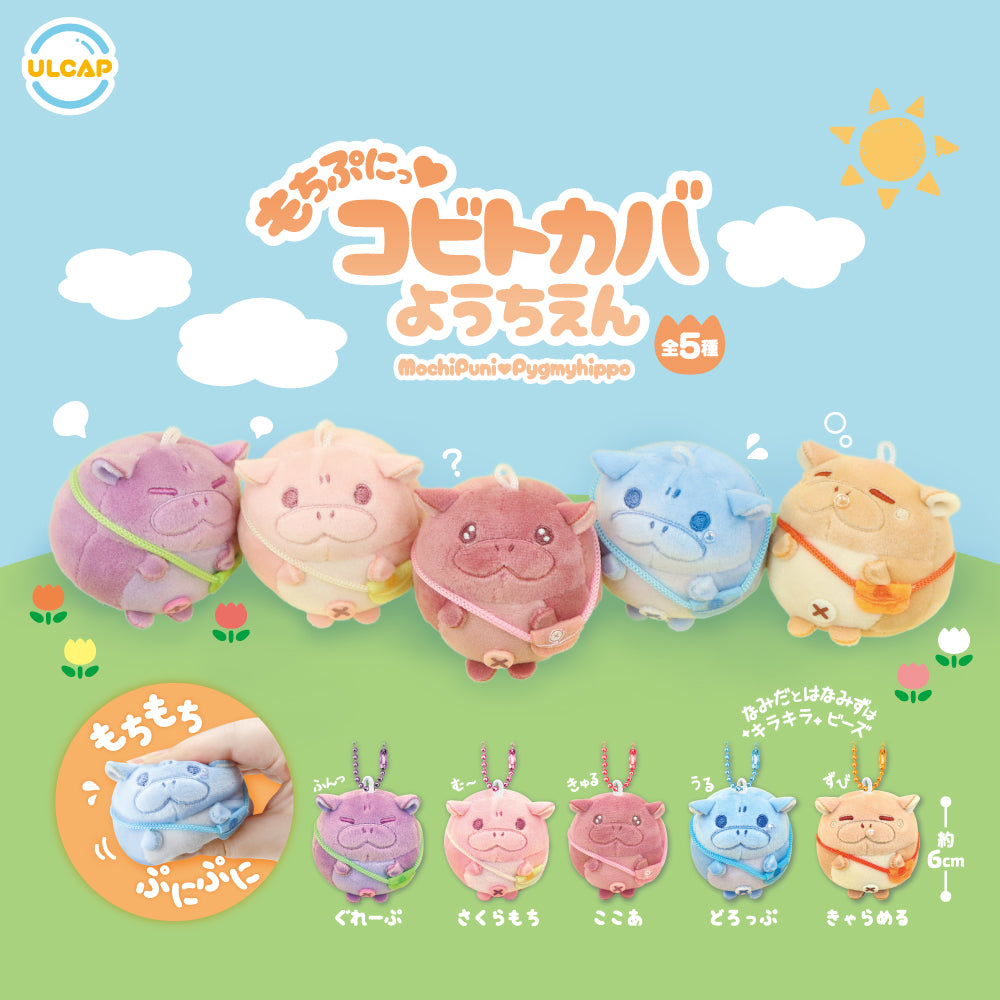 Mochi Puni Pygmy Hippo Kindergarten Gachapon | oshoppu